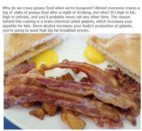 These Are The Answers To Lifes Most Important Questions Others