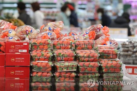 딸기의 계절 연합뉴스