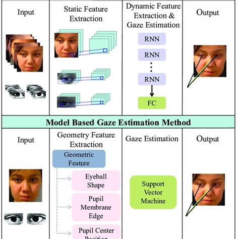 Two Categories Of Gaze Estimation Methods 1 Appearance Based Gaze