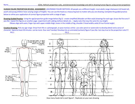 Human Drawing Guidelines At Andrew Joshua Blog