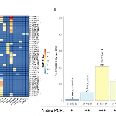 Microbiome Characterization At The Species Level By Shotgun Metagenomic