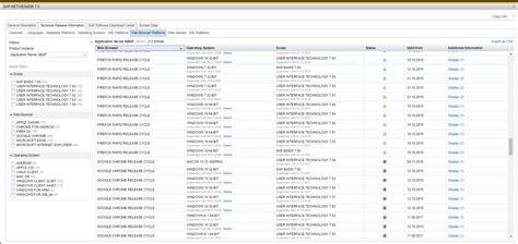 Sap Support For Browsers