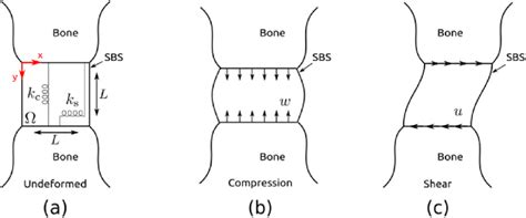 2d Scaffold Problem Definition Domain Ω With Side Lengths L