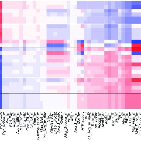 Regularized Canonical Correlation Analysis Of Metabolic Fluxes And