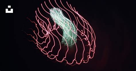 빨간색과 파란색 해파리 사진 Unsplash의 무료 네온 이미지