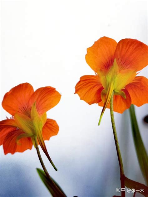 有的老师给学生布置那么多作业，等于给家长布置作业，家长能没有意见？ 知乎