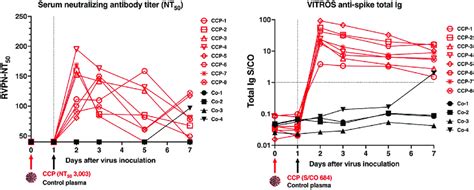 Neutralizing Activity And Anti Spike Total Ig In Serum Of Macaques Download Scientific Diagram