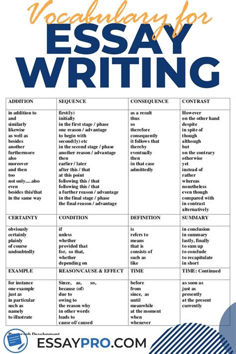 Vocabulary For Essay Writing