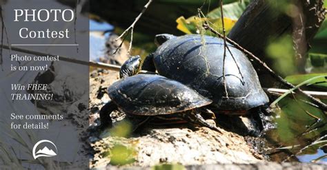 Nrtg Photocontest Studentsuccess Environmentaleducation Natural