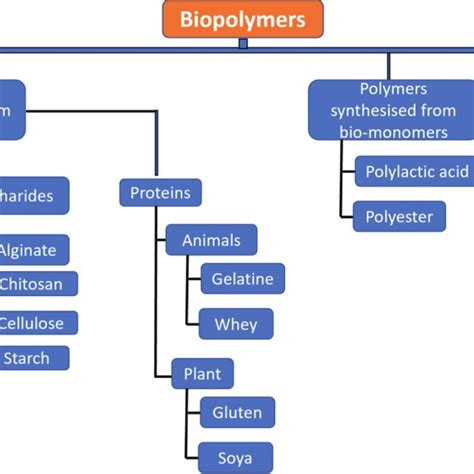 Classification Of Biopolymers Download Scientific Diagram