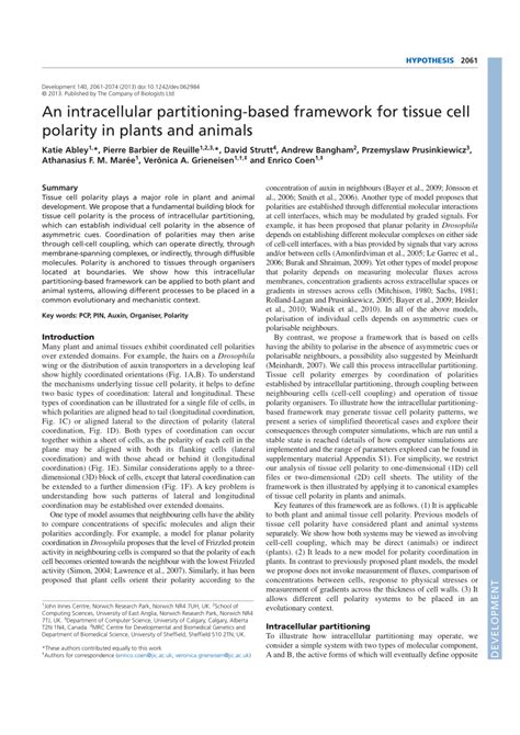 Pdf An Intracellular Partitioning Based Framework For Tissue Cell