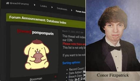 Breachforums Admin Conor Fitzpatrick Pompompurin To Be Resentenced