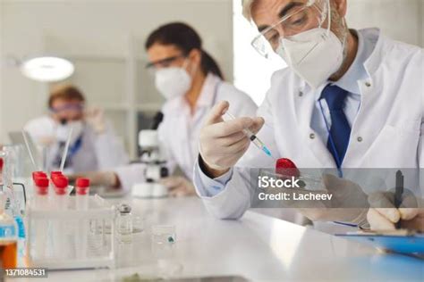 현대 식품 실험실에서 연구를 하는 동안 Gm 토마토에 작업 하는 유전 과학자 과학 실험에 대한 스톡 사진 및 기타 이미지