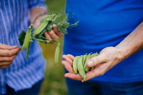 How Category Directors Can Lead On Food Sustainability Irish Food And Drink
