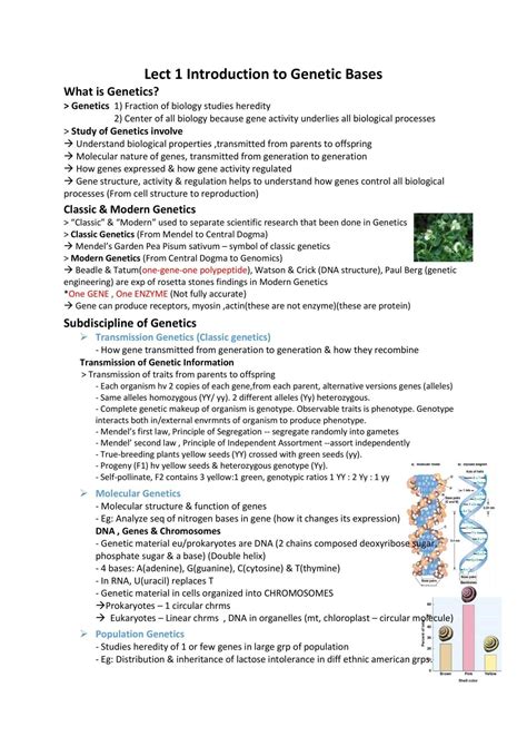 Lecture Notes Sbp3507 Basic Genetics Sbp3507 Basic Genetics Upm Thinkswap