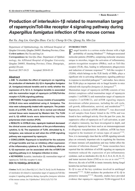 Pdf Production Of Interleukin 1β Related To Mammalian Target Of Rapamycin Toll Like Receptor 4
