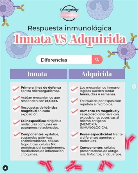 Inmunidad Innata Vs Inmunidad Adquirida Yudocorg Udocz