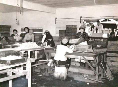 Nisshokus Nippon Food Manufacturer
