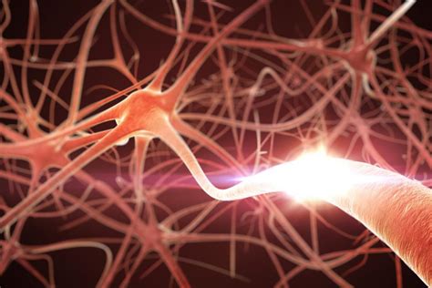 The Connectome The Physical Map Of A Personality And The Rise Of High