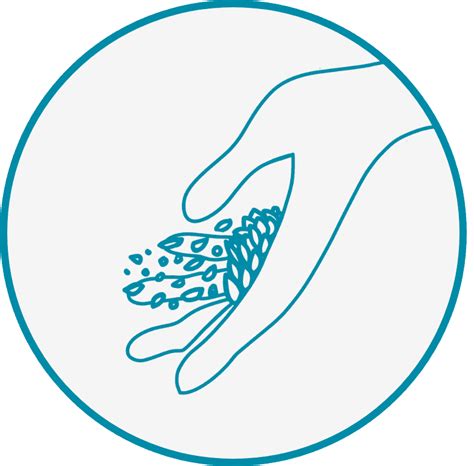 Indigenous Wellbeing Centre For Wise Practices