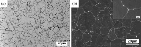 Microstructure Of Hot Rolled Inconel 625 Alloy A Om B Sem Download Scientific Diagram