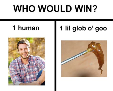 Who Would Win Scrolller
