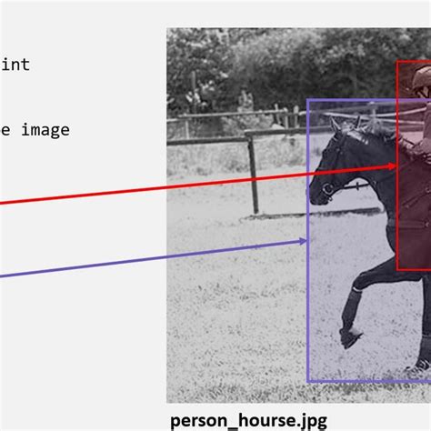 yolo full model architecture download scientific diagram