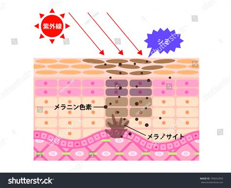 Self Ultraviolet Images Stock Photos Vectors Shutterstock