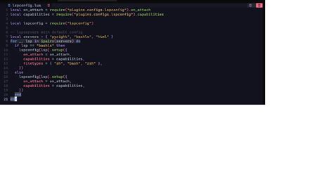 Some Lsp Dont Work · Issue 1411 · Nvchad Nvchad · Github