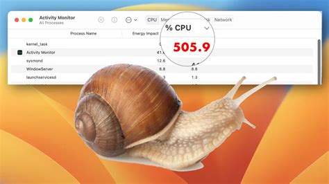 Fix A Crazy High Kerneltask Cpu Usage In Macos Beta Swiss Mac User