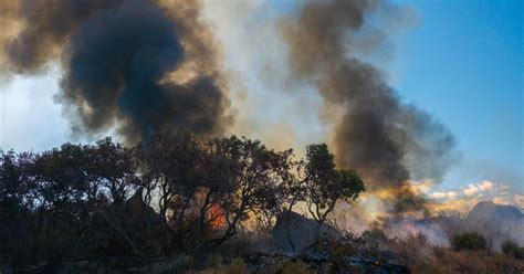 Can Artificial Intelligence Learn To Spot Wildfires Kpbs Public Media