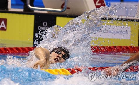 황선우 결승 역영 연합뉴스