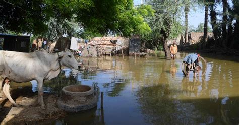 Dodental Van Moessonregens In Pakistan Loopt Verder Op Buitenland Hln Be