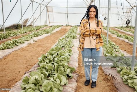 농부 초상화 또는 팔짱을 끼고 온실 농업 분야 또는 상추 성장 목표를 가진 지속 가능성 자연 미소 농업 마인드 채소 성공 또는 아이디어를 가진 행복하거나 자신감 있는 여성
