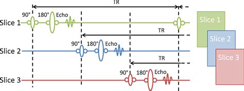 Spin Echo Sequences Detailed Radiology Cafe