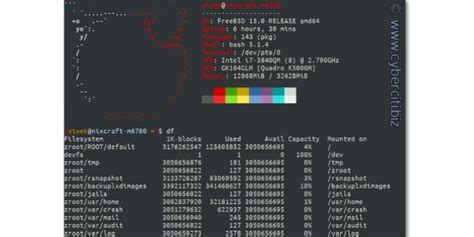 How To Use Df Command In Linux Unix With Examples