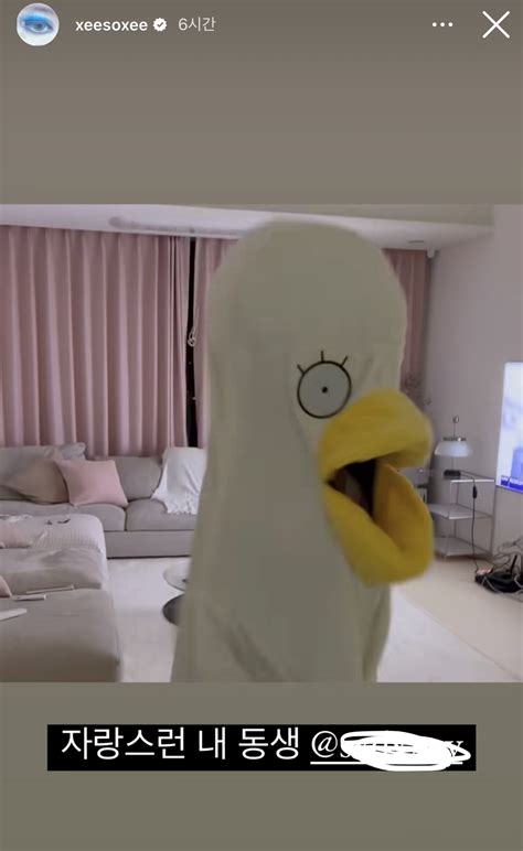 더쿠 한소희 친여동생 인스타에 한소희 댓글들