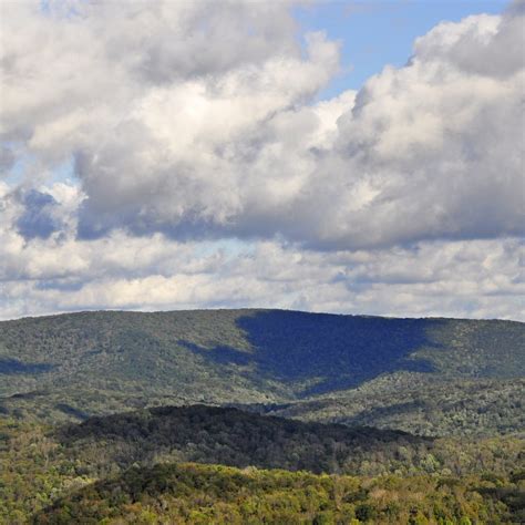 About Me The Clingerman Agency