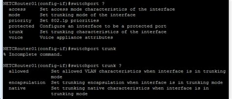 How Set Port In Trunk Mode On Cisco 897va It Oplossingen