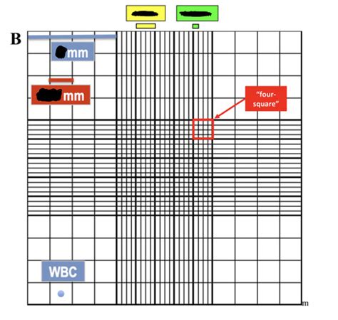 Cell Bio Lab Flashcards Quizlet
