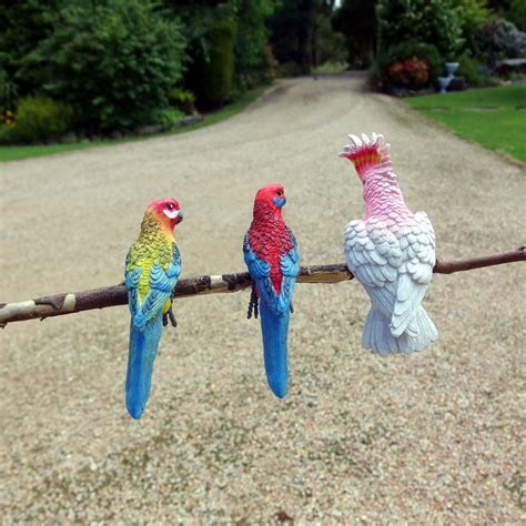 Australian Rosella And Cockatoo Bird Garden Pot Sitters Cam And Debs