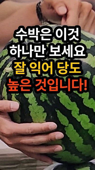수박은 이것 하나만 보세요 잘 익은 것입니다 수박 도매 30년 사장님 비법 수박 고르는 법 수박 고르는 팁 수박고르는법 수박고르는팀 수박 잘익은수박 당도높은
