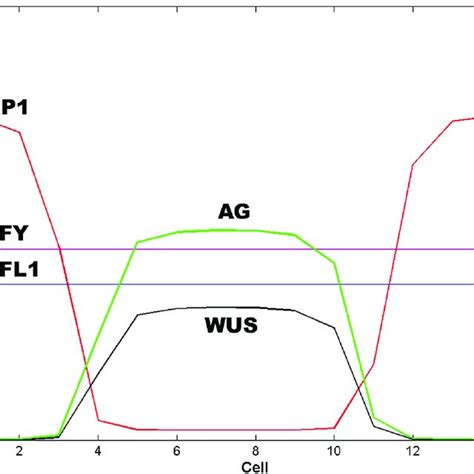 Abc Model Of Flowering A Abc Model Of Flowering For Arabidopsis Download Scientific