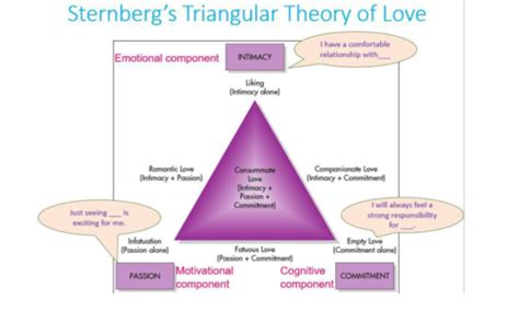 Psyc 121 Unit 33 Flashcards Quizlet