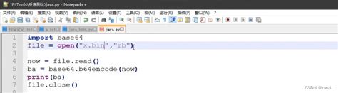 java反序列化漏洞及实例详解 java反序列化漏洞利用 csdn博客