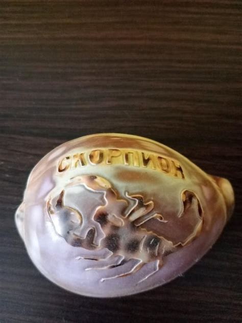 Ракушка — ціна 100 грн у каталозі Статуетки Купити товари для дому та побуту за доступною ціною