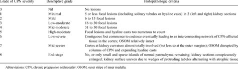 Specialized System For Grading Severity Of Rat Chronic Progressive Download Scientific Diagram