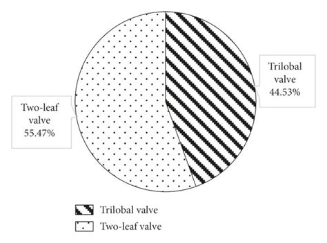 Ct Measurement Results Of The Aortic Root Of The Patient Download