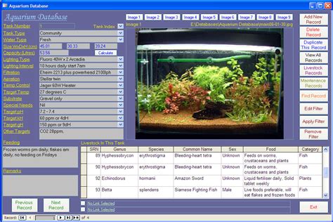 Data Aquarium Framework At Sofia Castleton Blog
