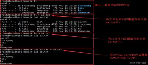 6linux实操指令（文件目录指令）控制台增加目录指令 Csdn博客